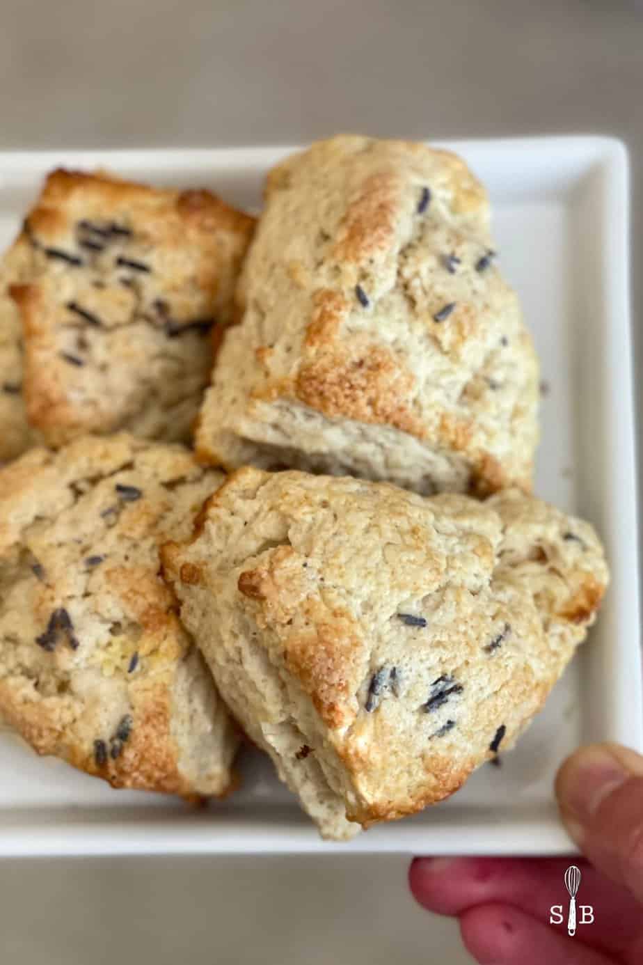 Lemon Lavender Scones Recipe {Easy and Delicious!} - the scone blog