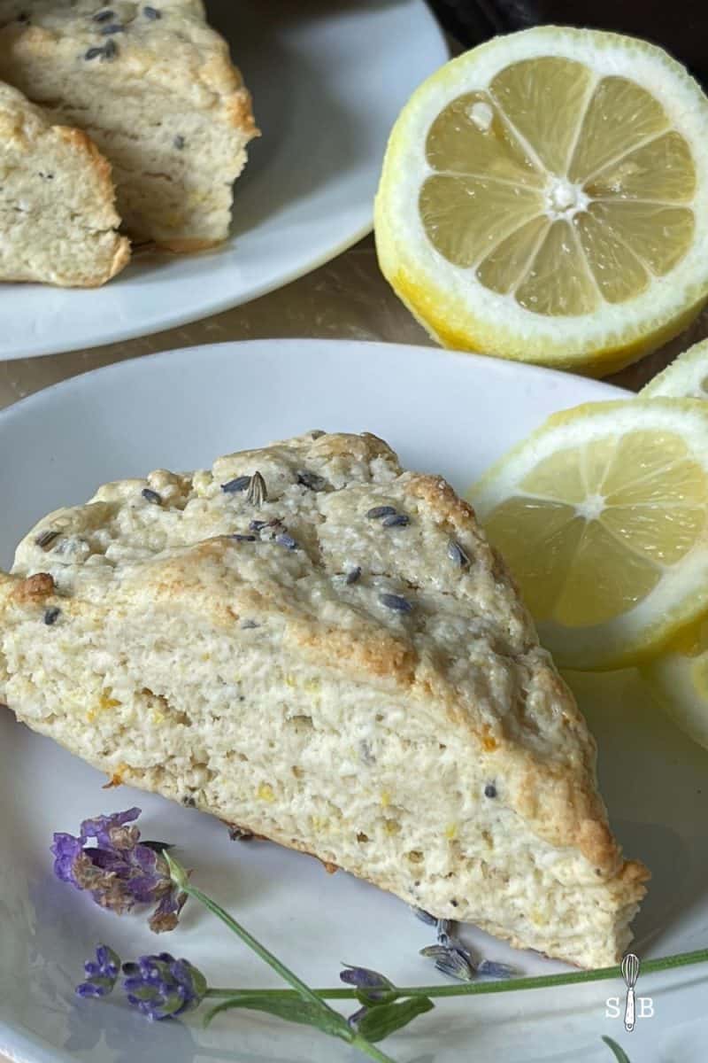 Lemon Lavender Scones Recipe {Easy and Delicious!} - the scone blog