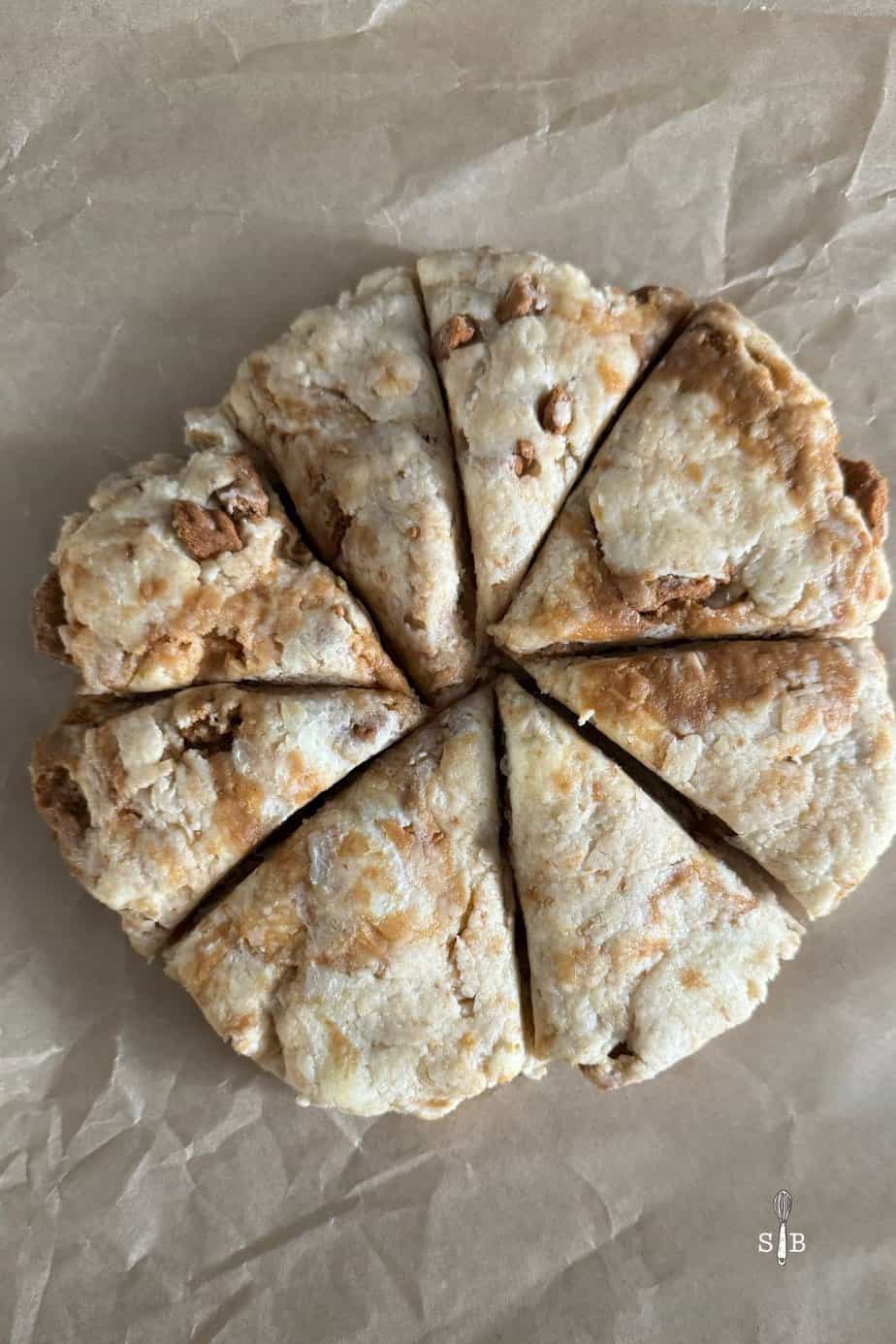 Delicious Biscoff Scones Recipe - the scone blog