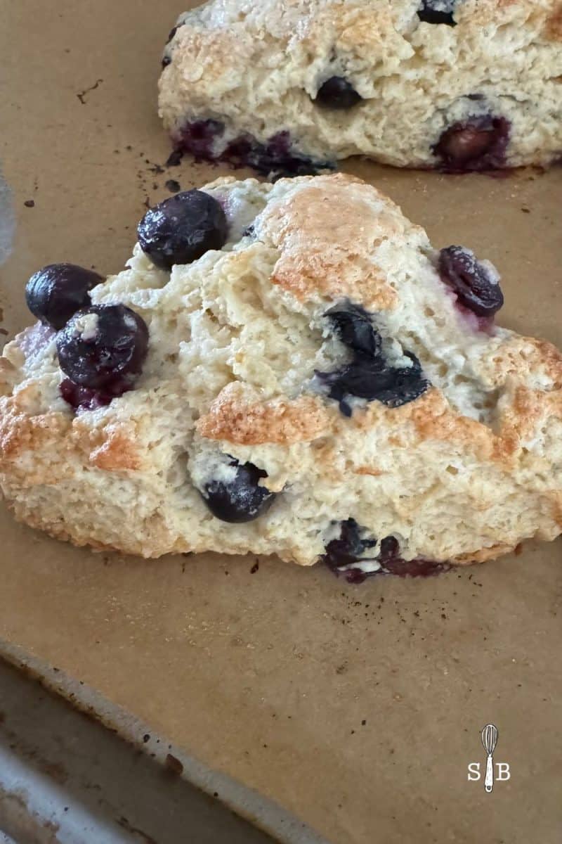 The Best Sourdough Scones Recipe - the scone blog
